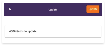 Signing into Mobile Auditor – Rizepoint