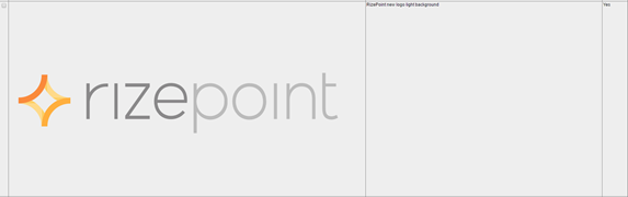 Logo Configuration – Rizepoint